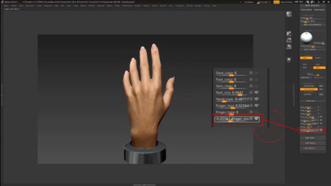 「大畠雅人のZBrushおすすめプラグイン紹介」③Human Zbuilder-Hand | TOPICS | スカルプターズ・ラボ
